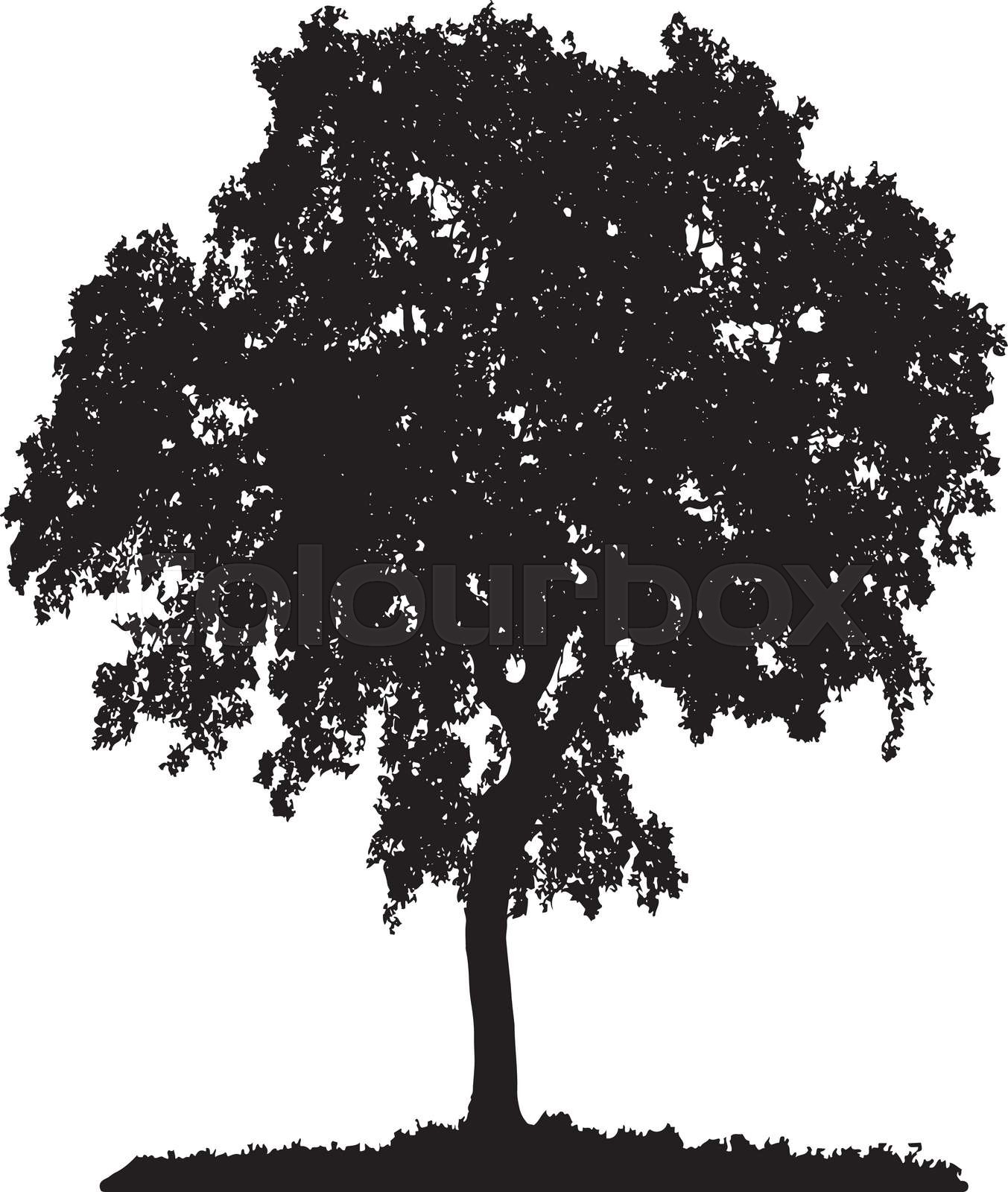 baum, umriss, natur | Stock-Vektor | Colourbox