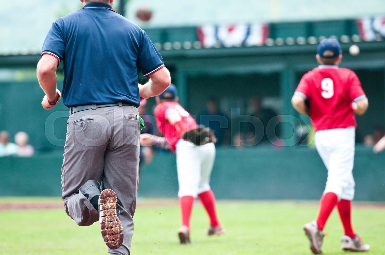 Baseball umpire running during game | Stock image | Colourbox