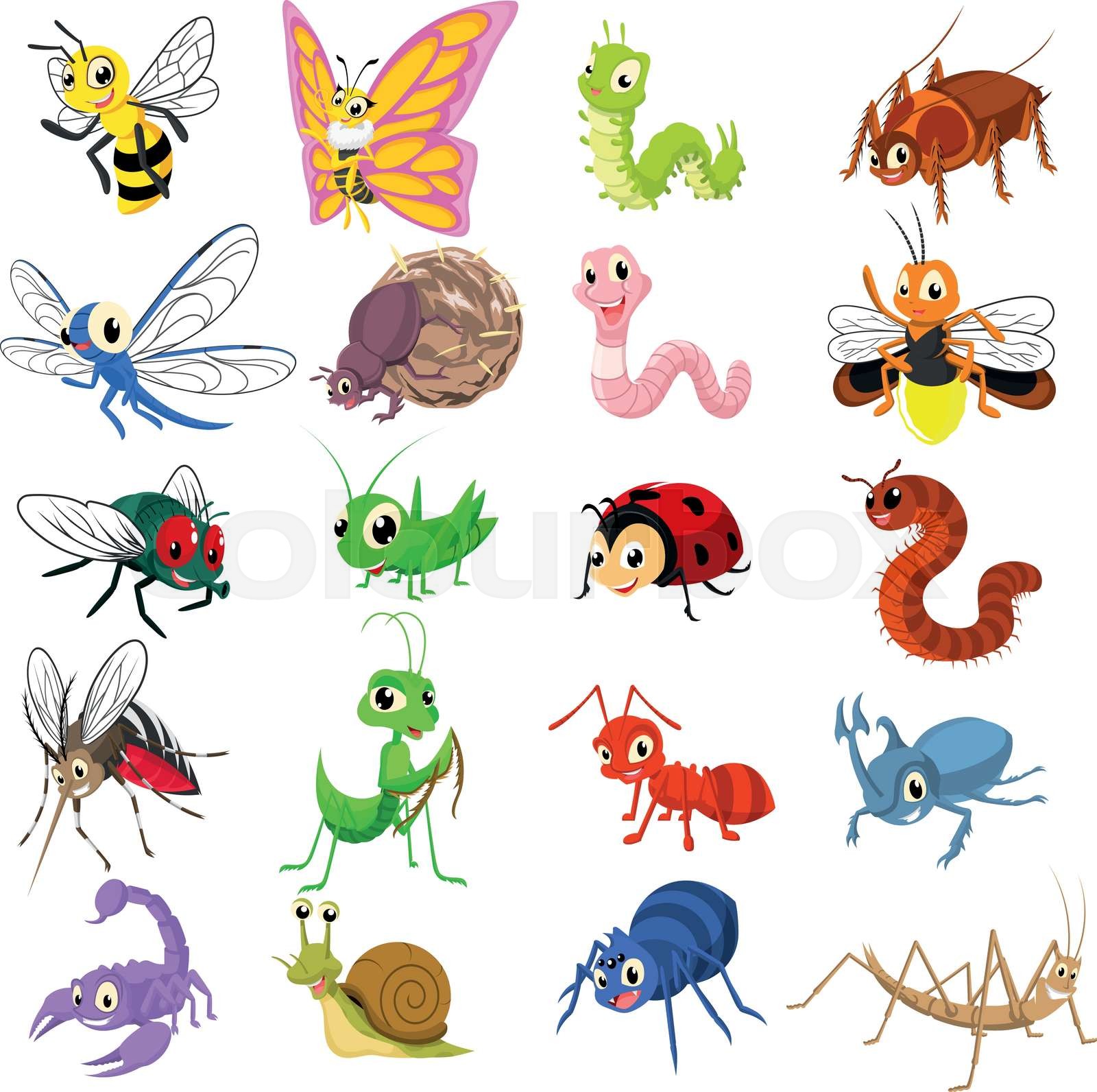 Set of Insect Cartoon Character | Stock vector | Colourbox