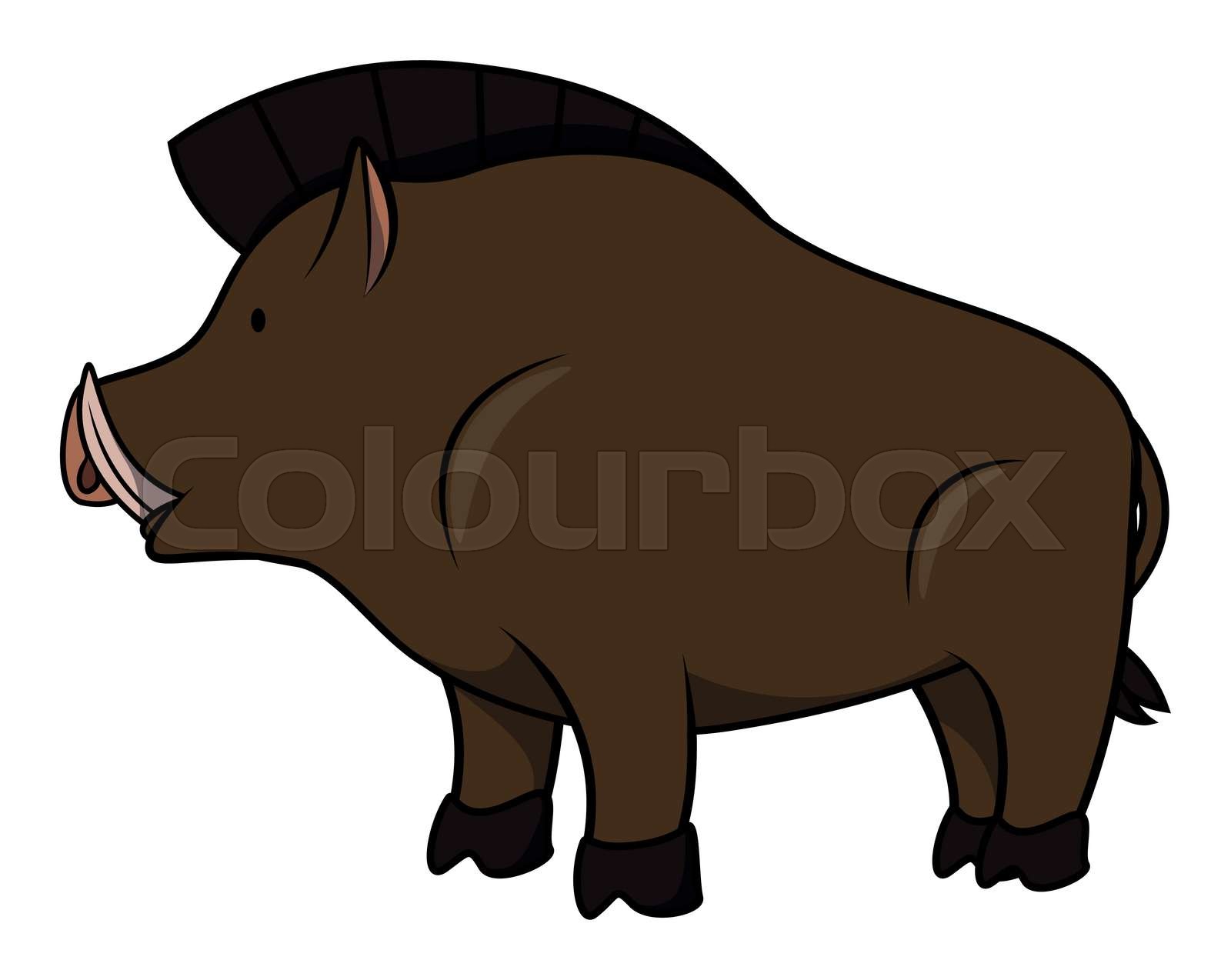 Wild boar cartoon illustration isolated white | Stock vector | Colourbox