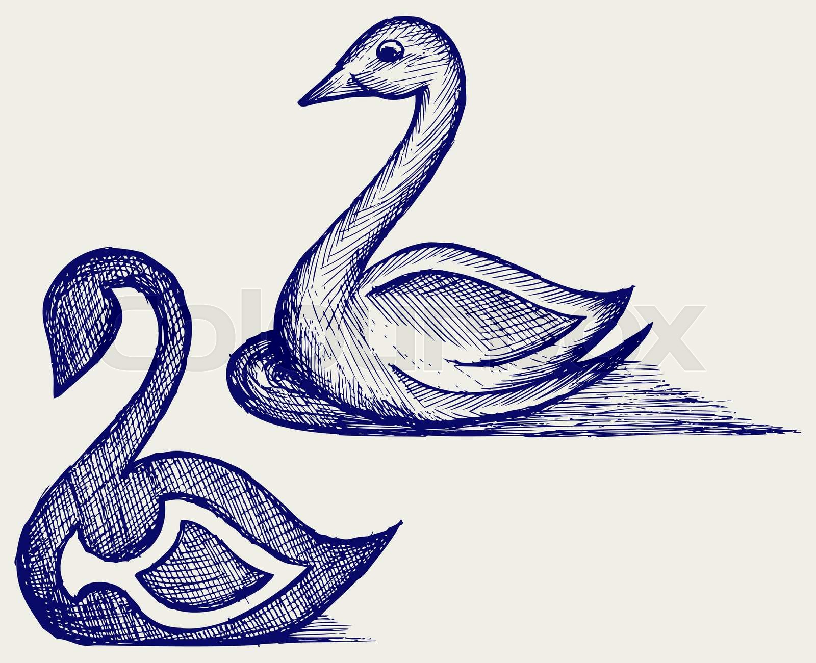 Swan sign. Vector | Stock vector | Colourbox