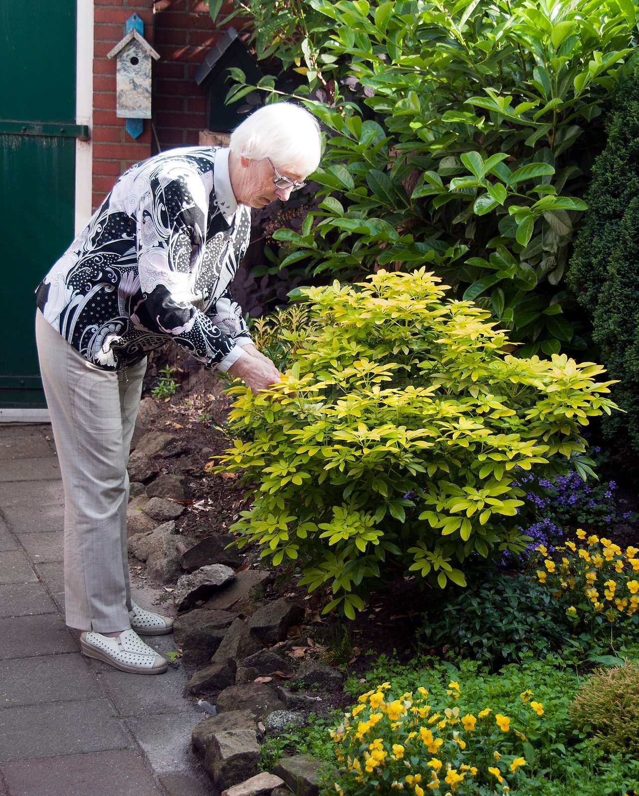 Nackte Oma Im Garten