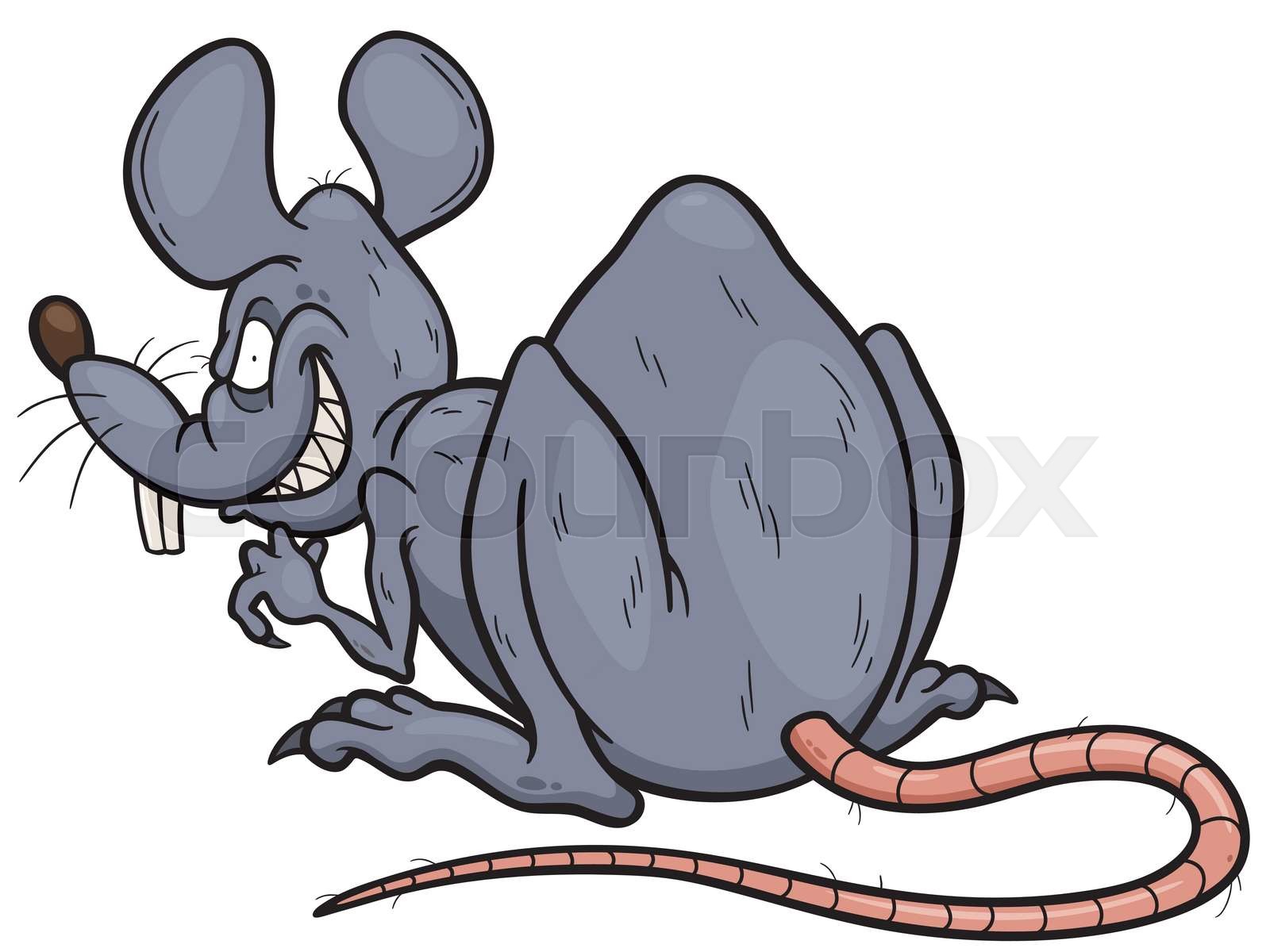Rat | Stock vector | Colourbox