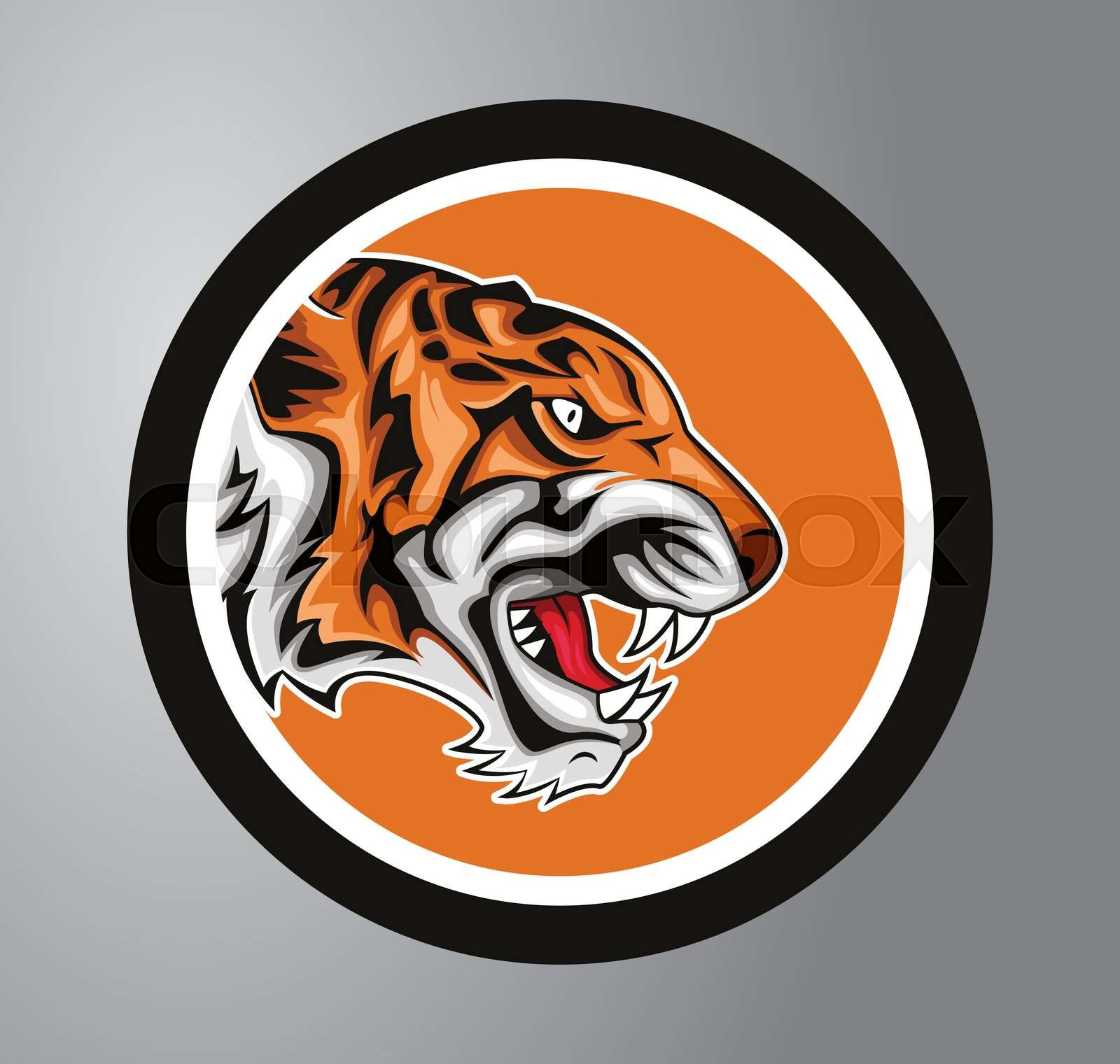Tiger circle sticker | Stock vector | Colourbox