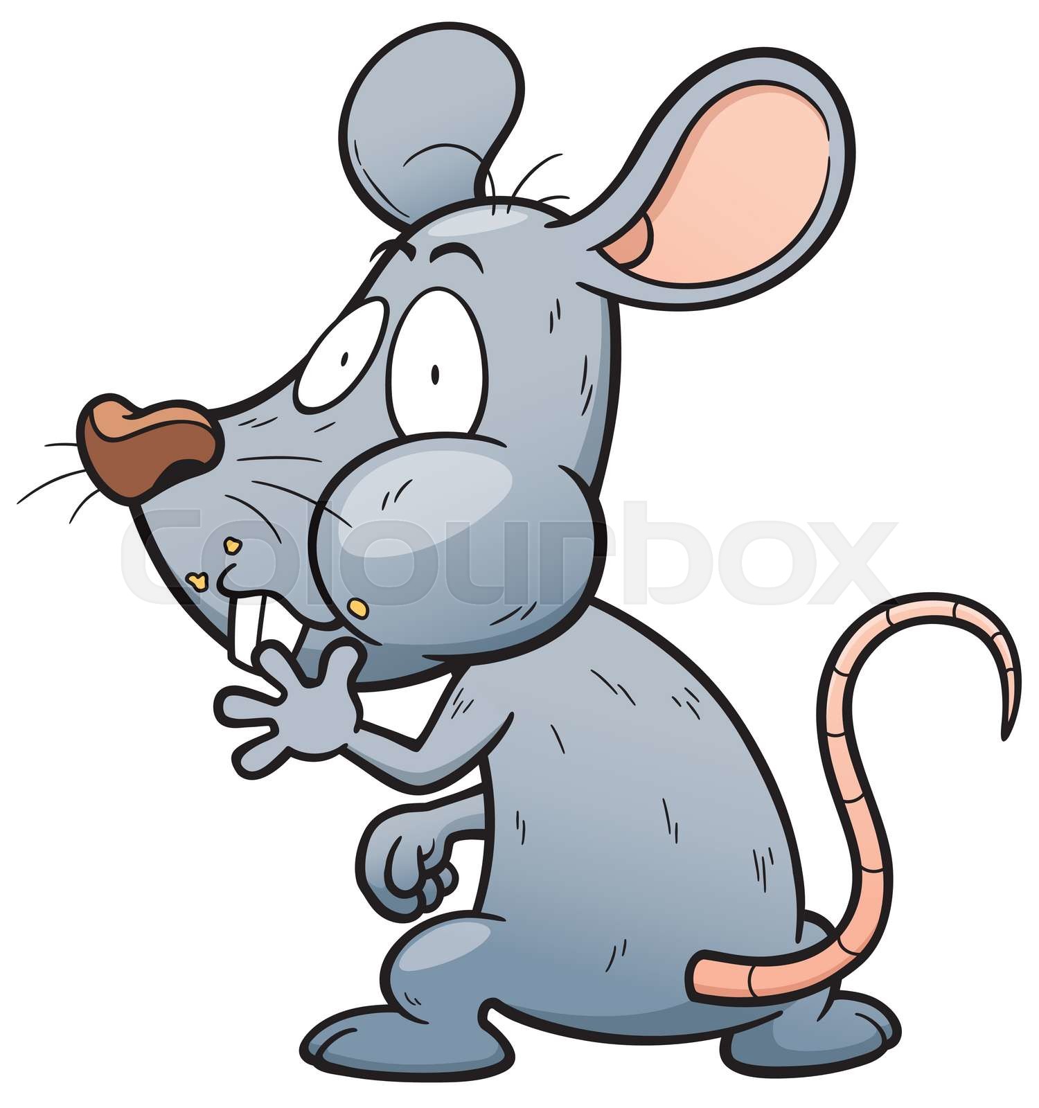 Rat | Stock vector | Colourbox