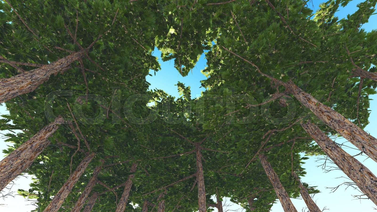 Green juicy crone tree with incredible branches | Stock image | Colourbox