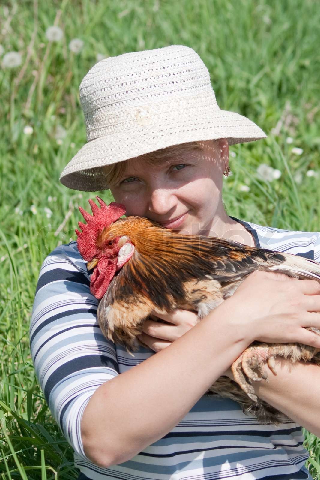 "Rooster and woman" | Stock image | Colourbox