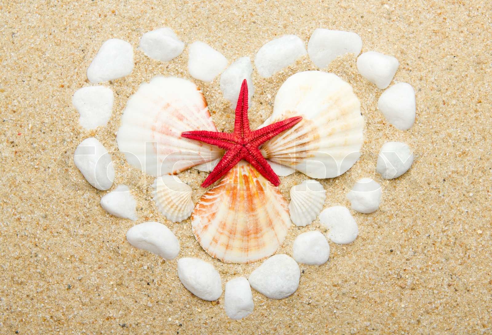 heart made with shells. Heart shape on sand | Stock image | Colourbox