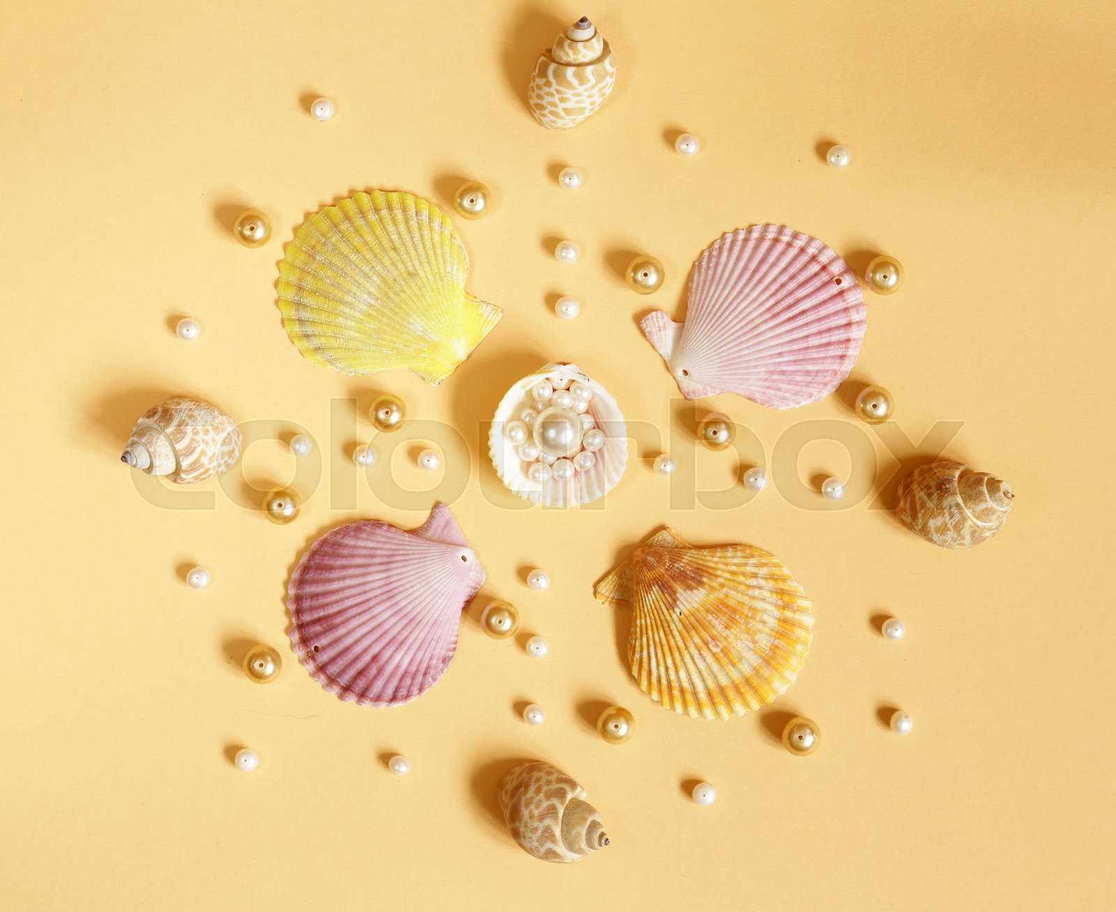 composition of the different types of pearls and shells | Stock image ...