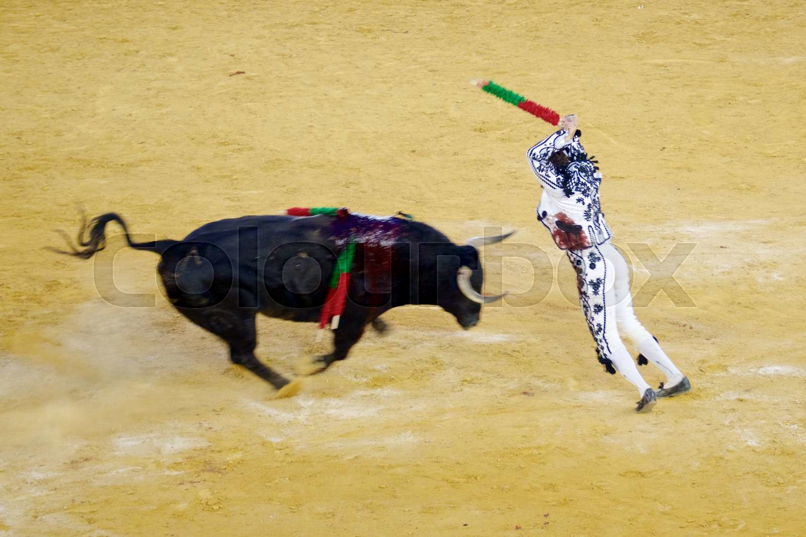 bullfighting | Stock image | Colourbox