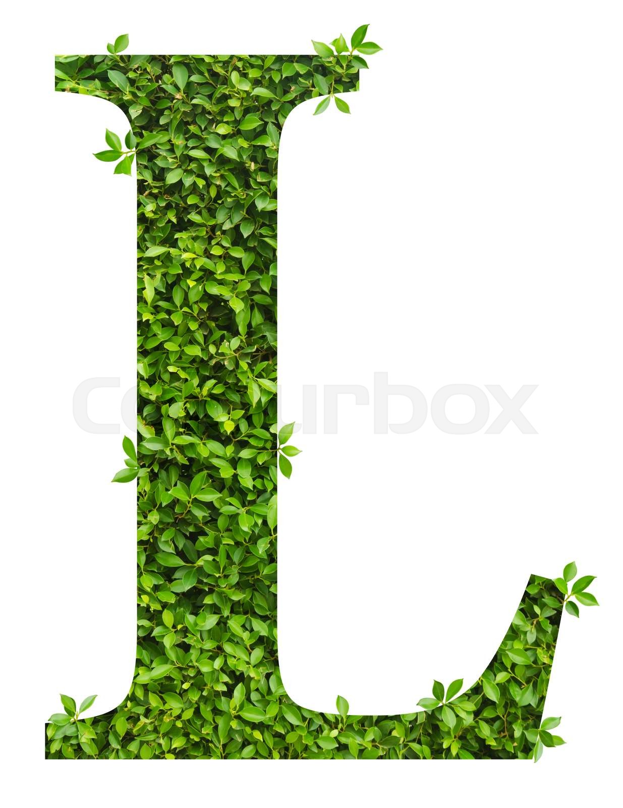 Letter L alphabet of green leaves | Stock image | Colourbox