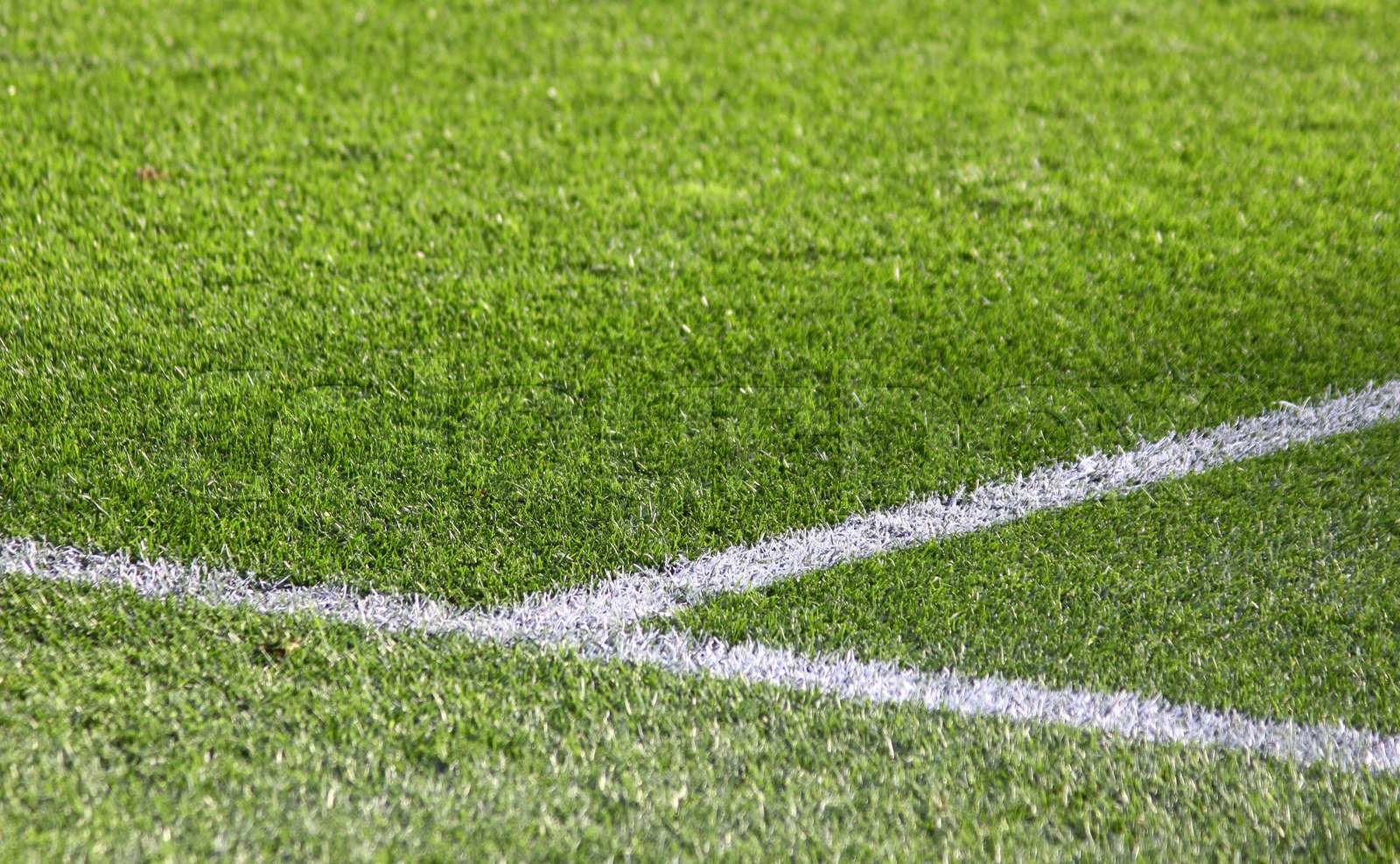 White stripes on the green soccer field | Stock image | Colourbox