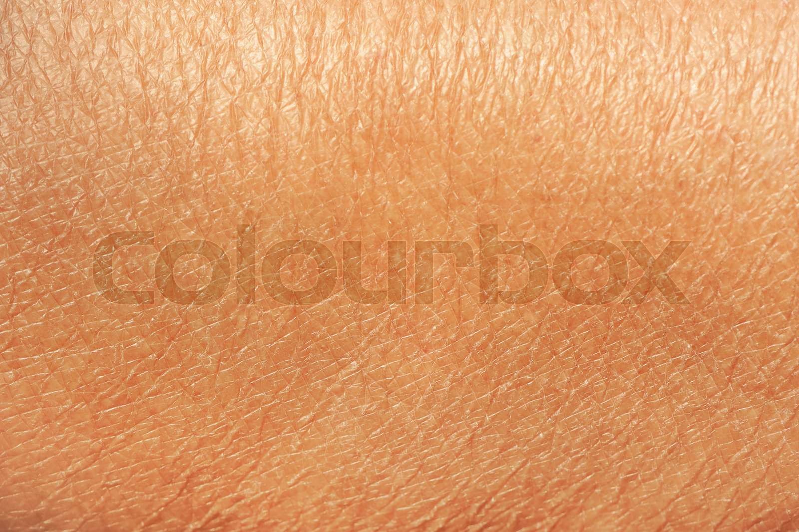 Elderly woman skin | Stock image | Colourbox