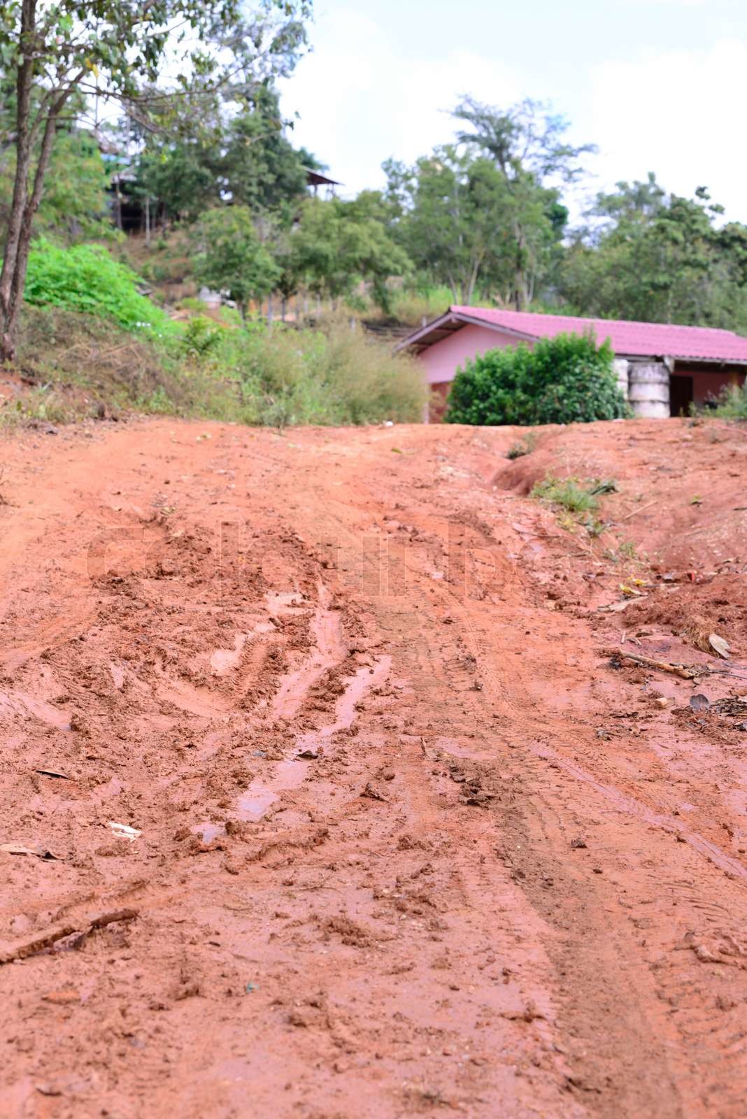 Muddy road in countryside village. | Stock image | Colourbox