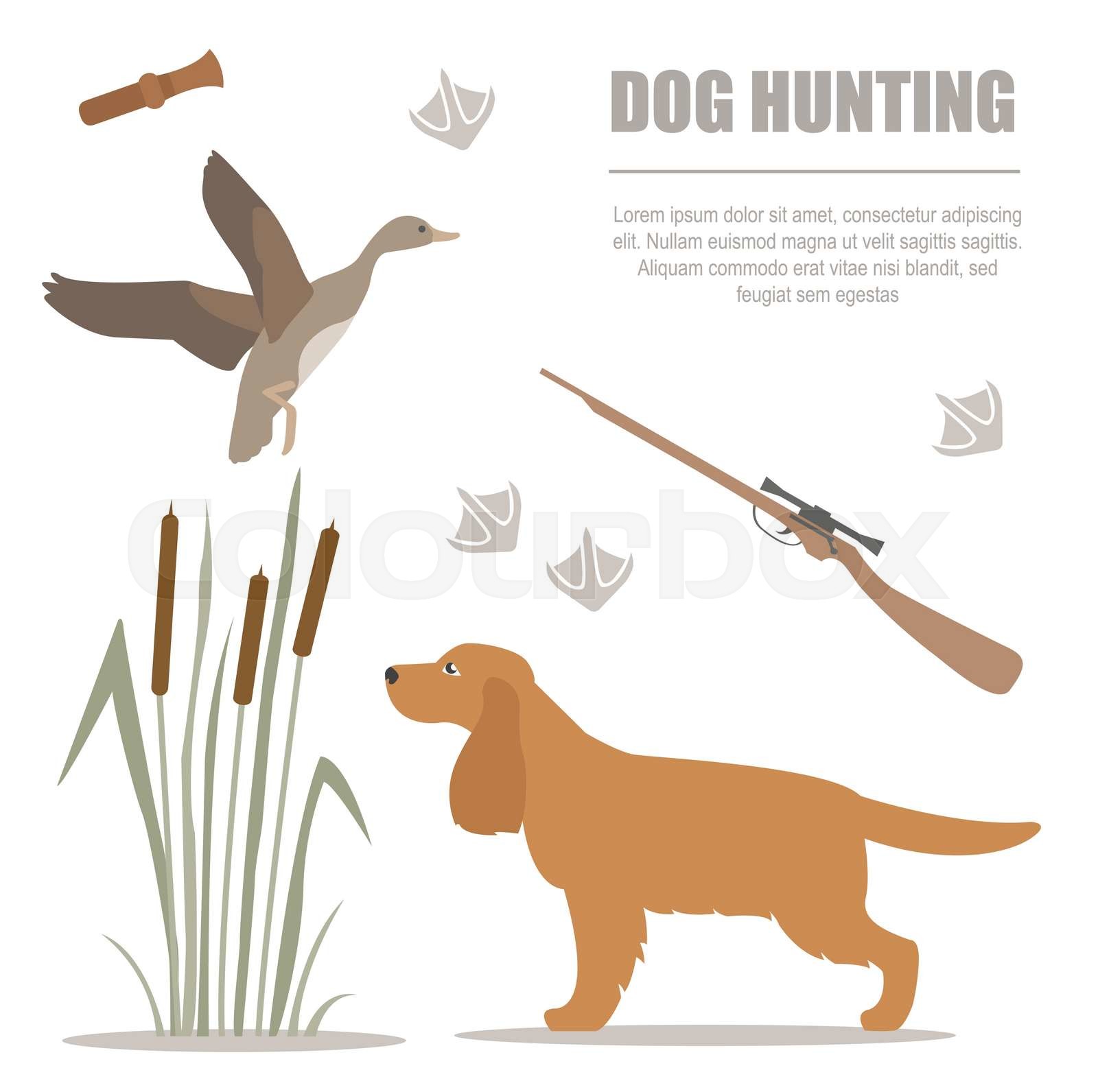 Dog hunting. Flat style. | Stock vector | Colourbox