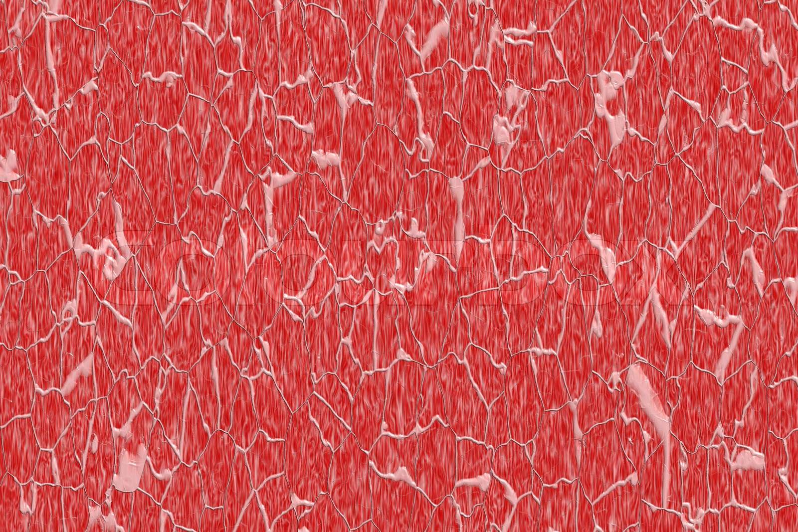 The texture of the muscle fiber | Stock image | Colourbox