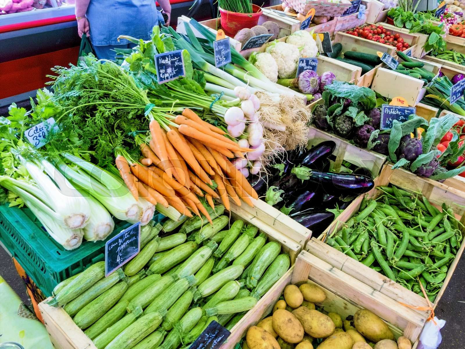 selection of vegetables | Stock image | Colourbox