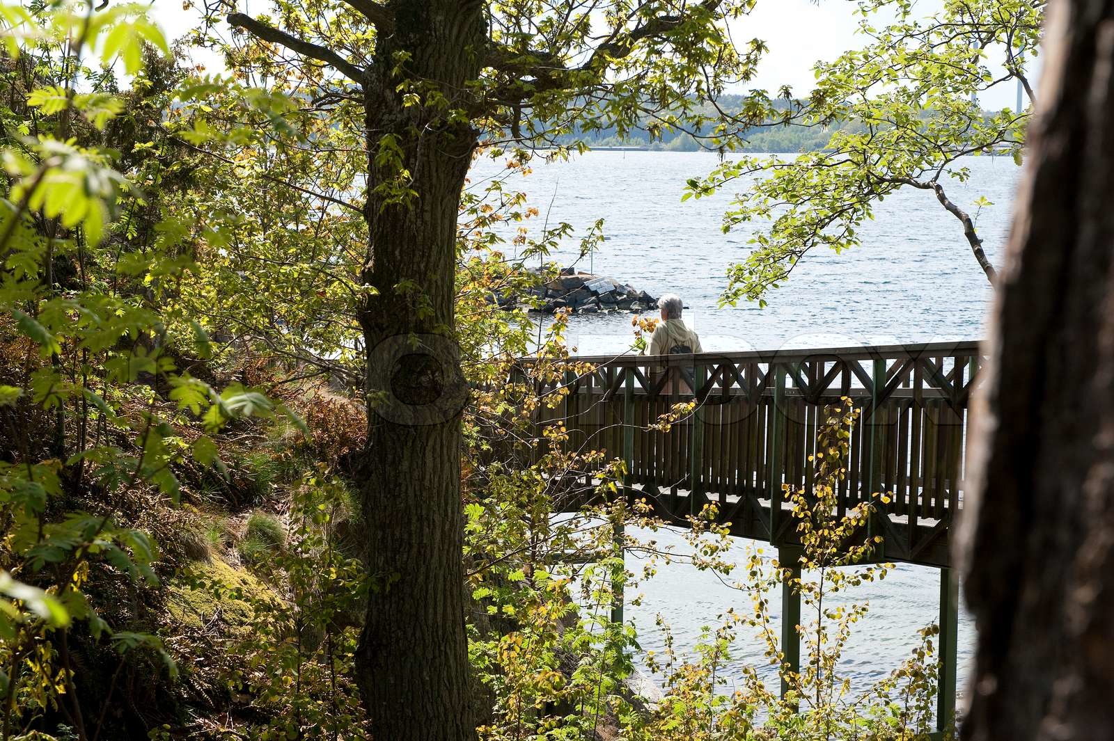 Summer Stroll Stock Image Colourbox