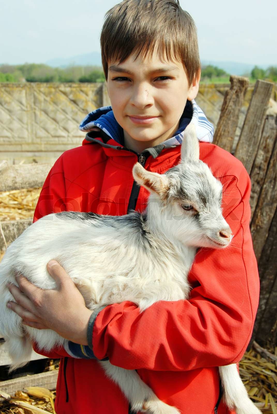 teenage boy portrait outdoors with little goat in hands | Stock image ...