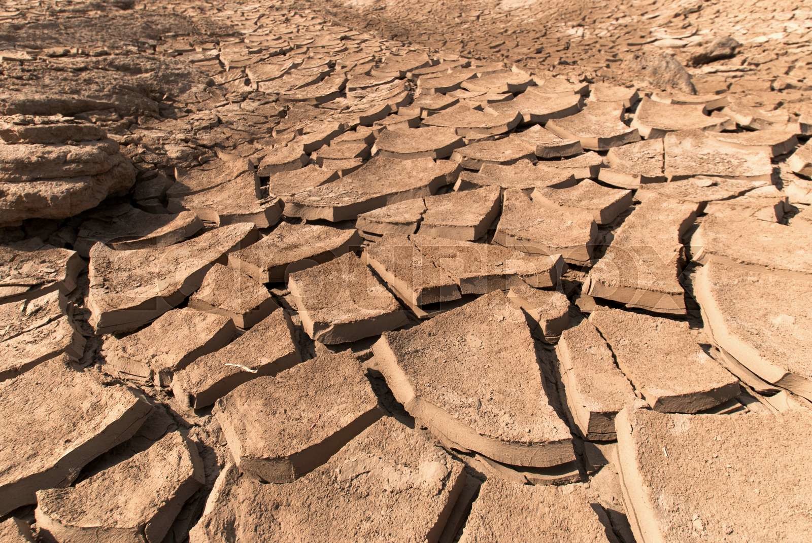 Cracked dry land without water | Stock image | Colourbox