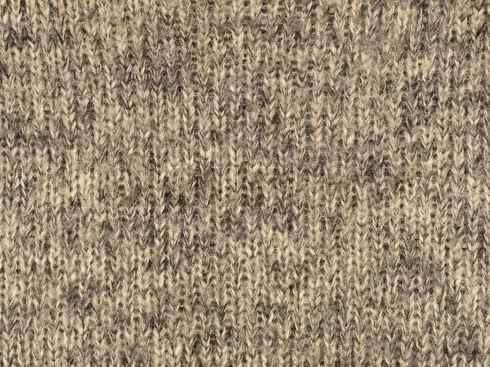 The gray sheep wool fabric texture pattern. | Stock image | Colourbox