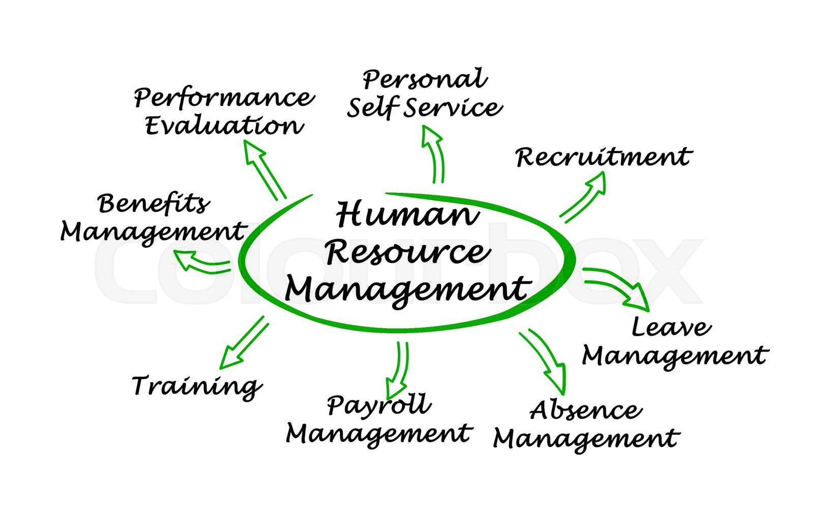 Diagram of Human Resource Management | Stock image | Colourbox