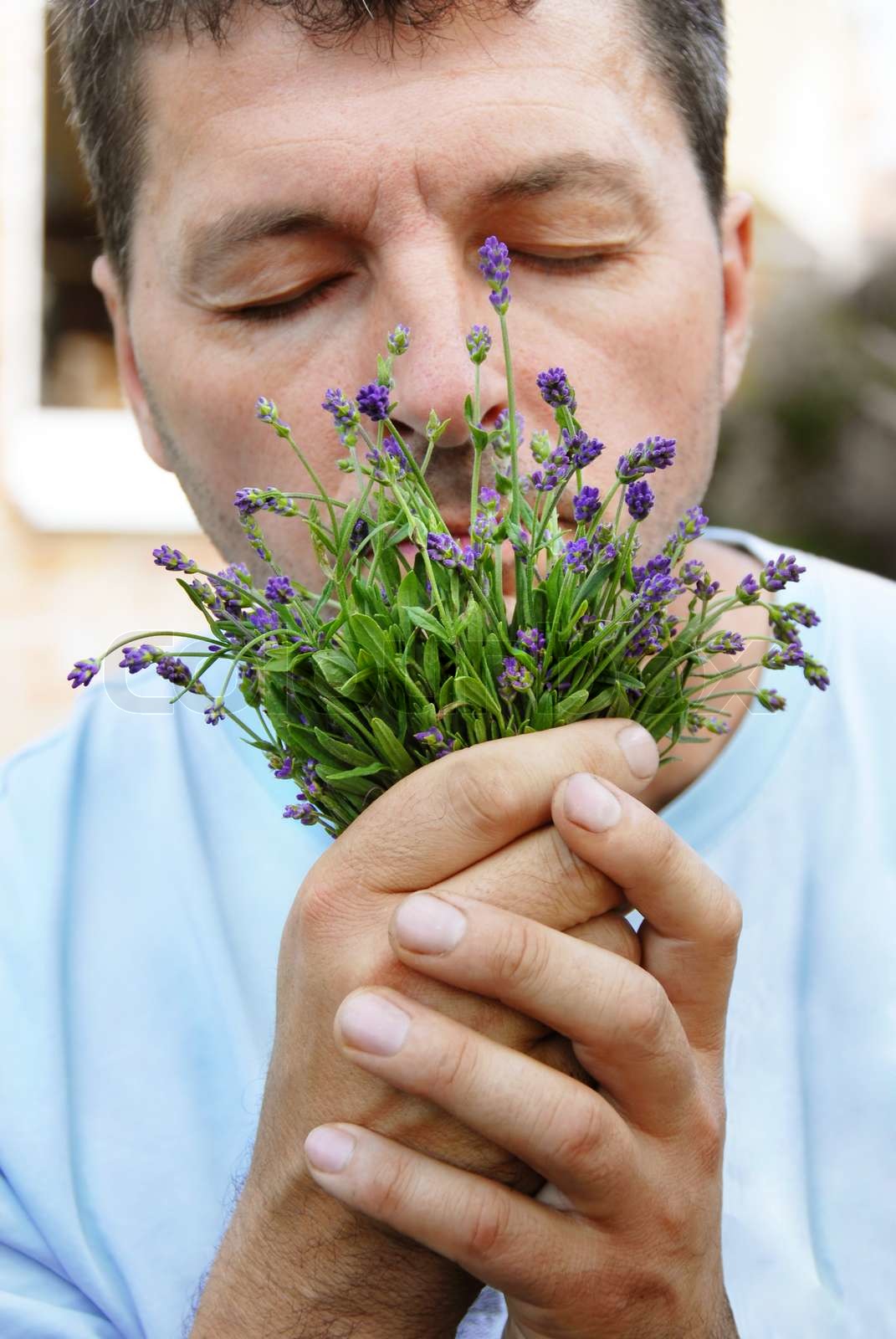 Man smelling lavender | Stock image | Colourbox