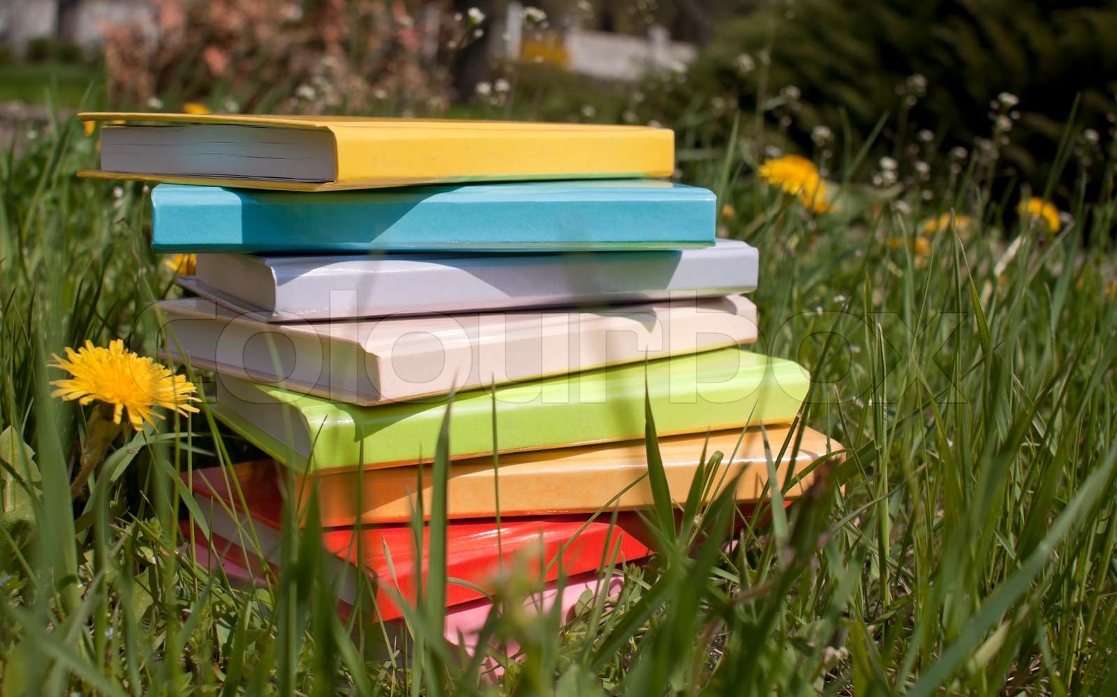 Stack of the books laying on the grass | Stock image | Colourbox