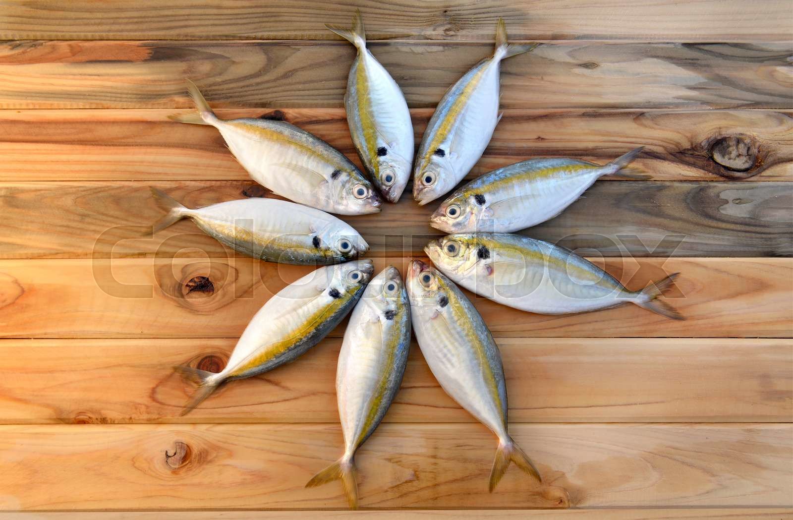 fresh yellow stripe trevally fish | Stock image | Colourbox