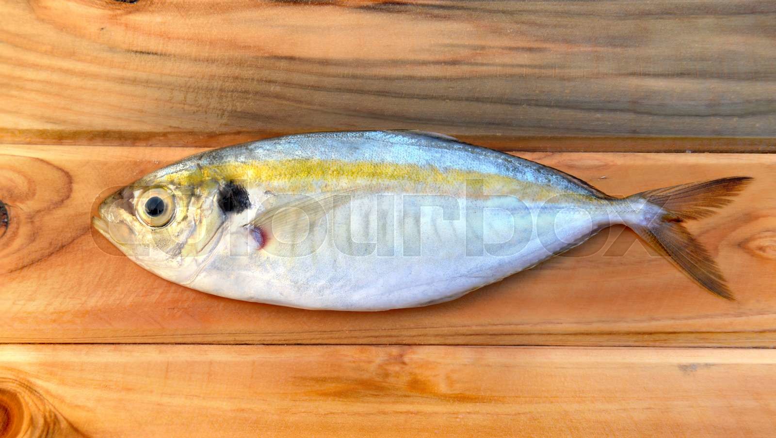 fresh yellow stripe trevally fish | Stock image | Colourbox