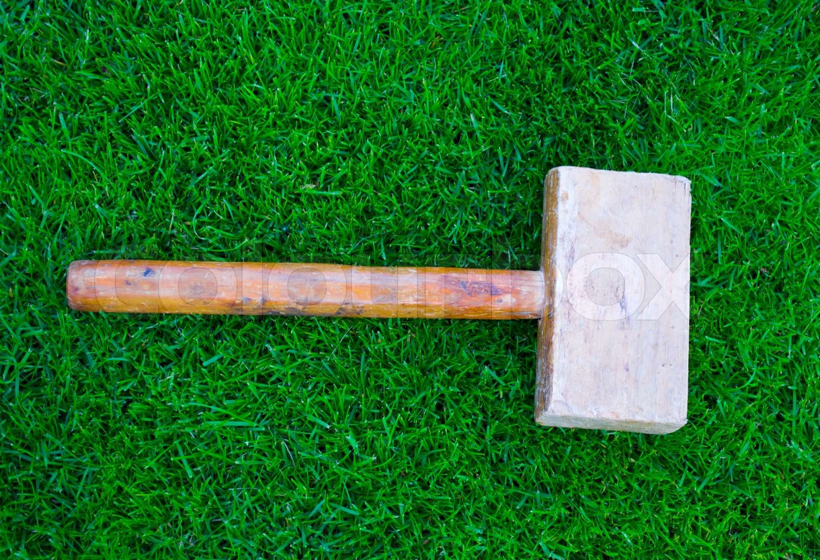 hammer on green grass | Stock image | Colourbox