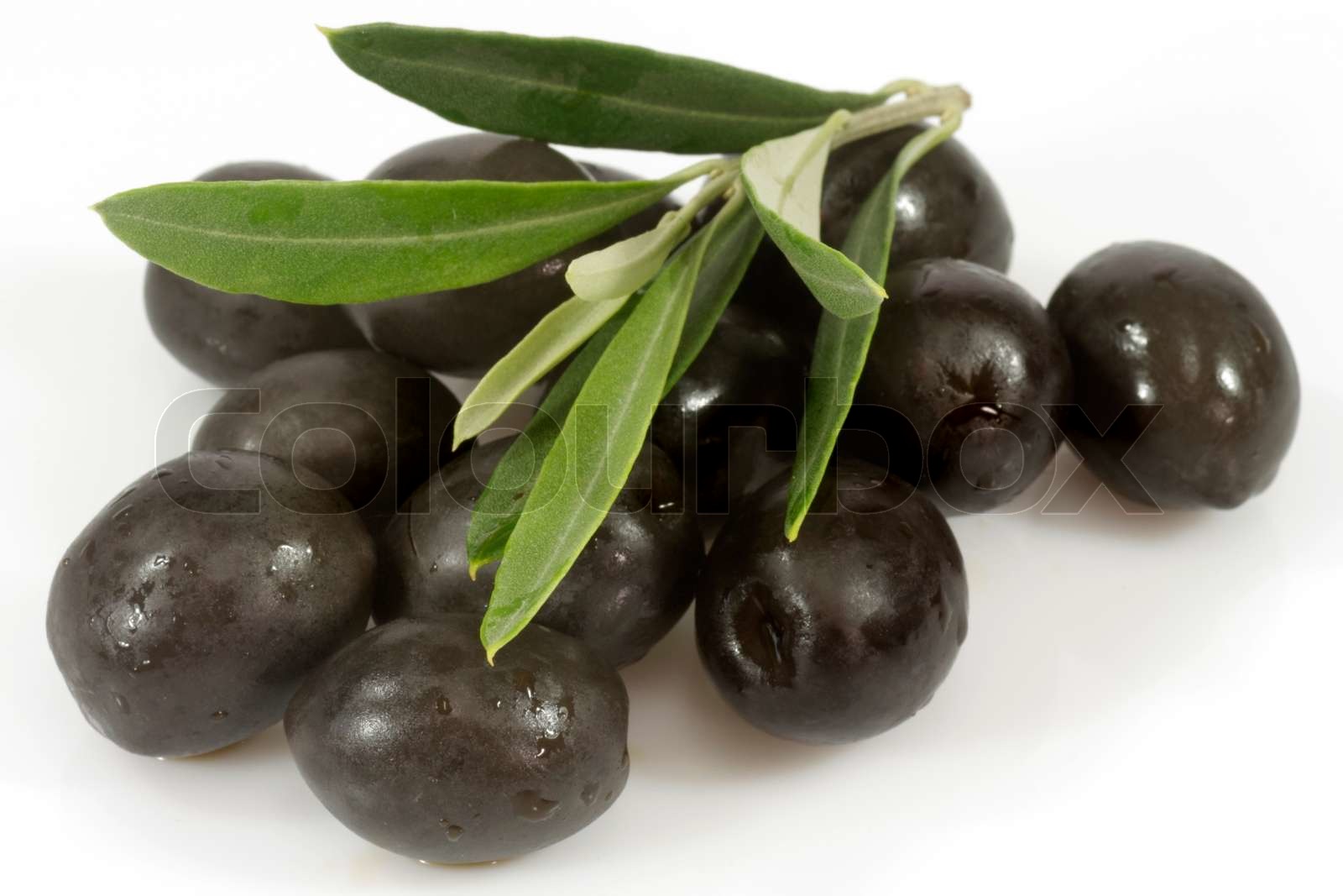 Schwarze Oliven mit Olivenzweig auf weißem Hintergrund | Stock Bild ...