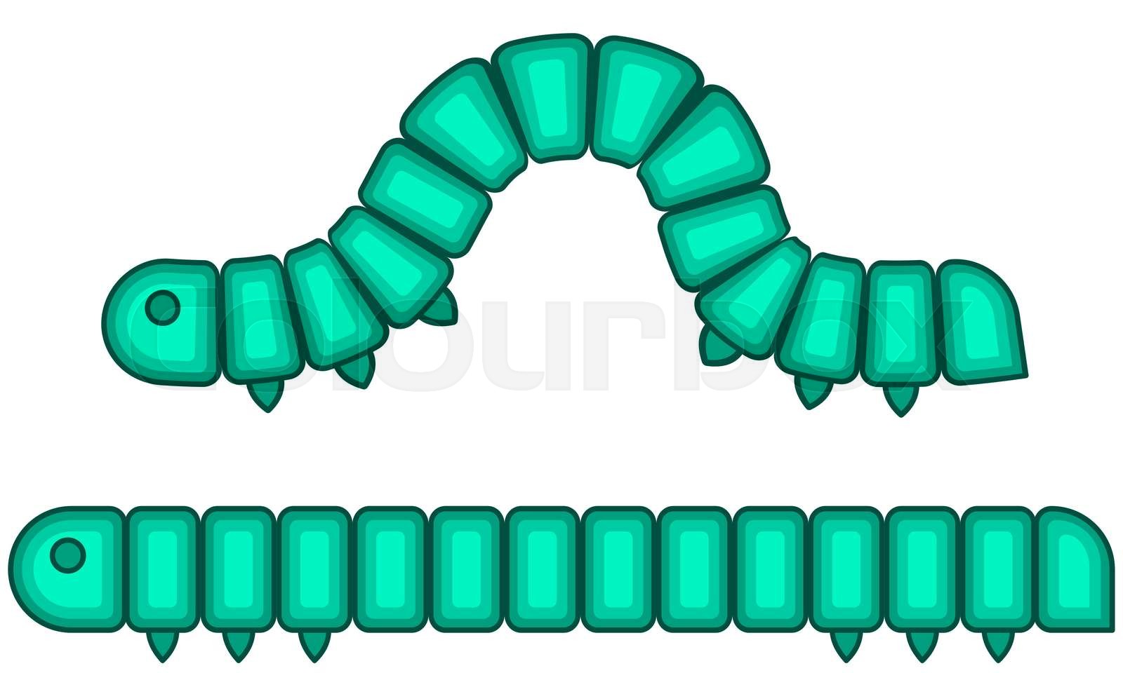 Caterpillar larva insect | Stock vector | Colourbox