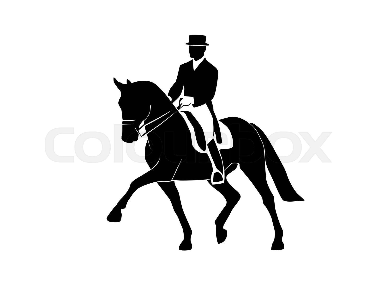 Dressage horses | Stock vector | Colourbox