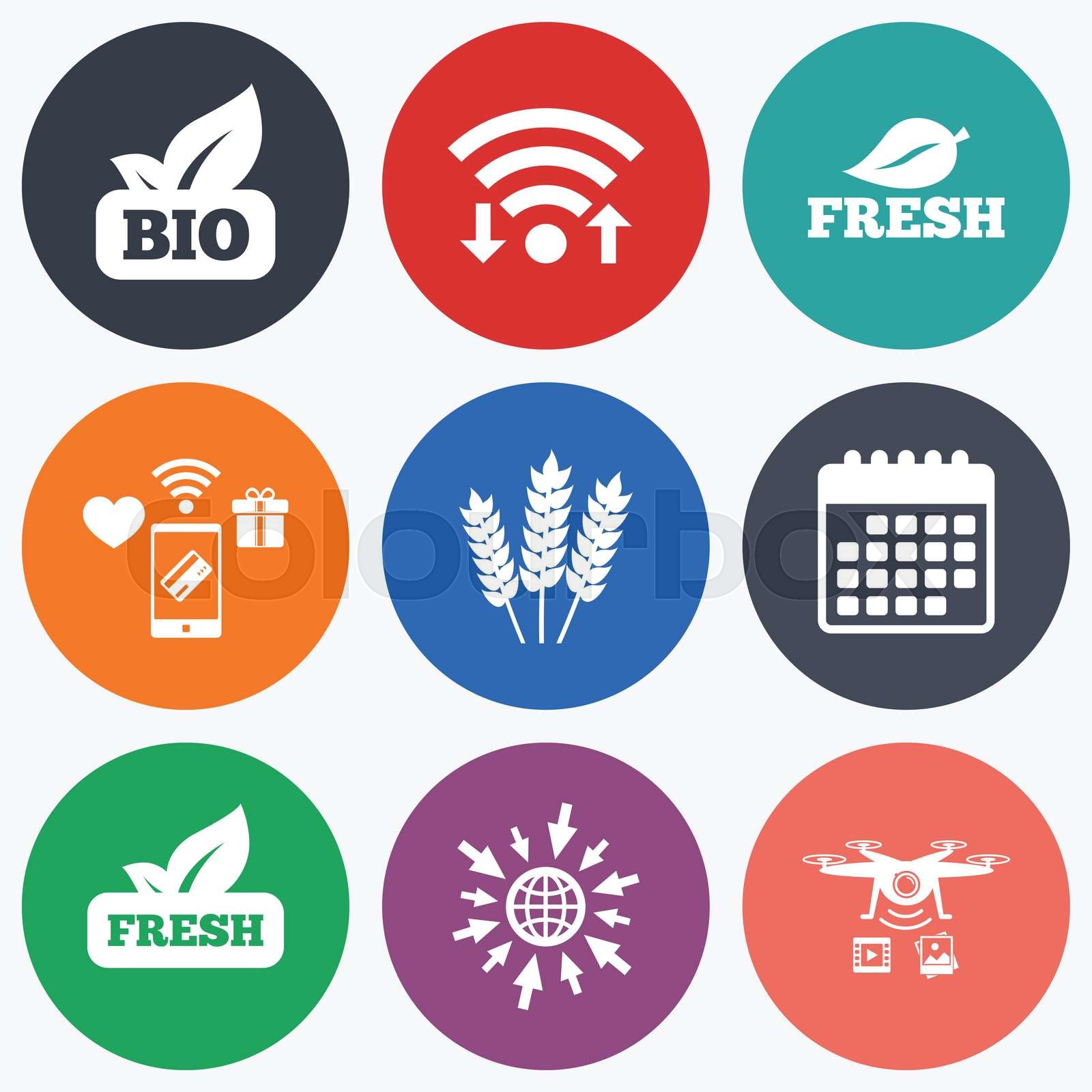 Natural fresh Bio food icons. | Stock vector | Colourbox