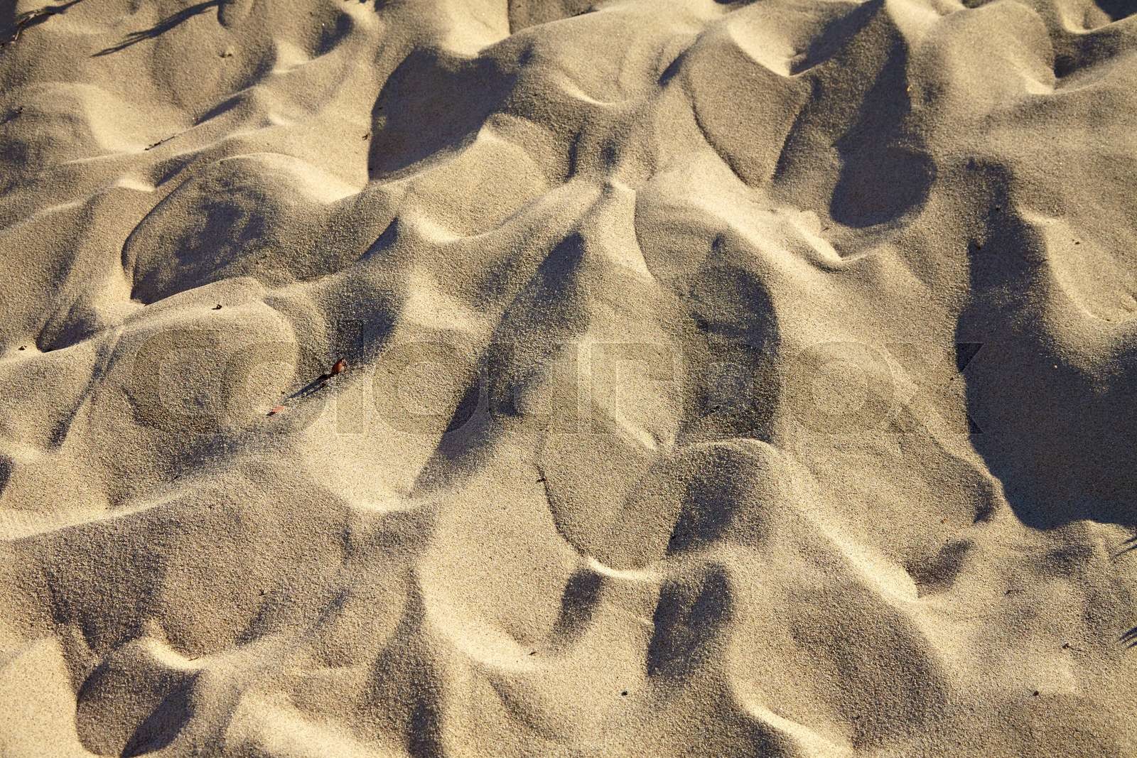 Small sand dunes on beach. | Stock image | Colourbox