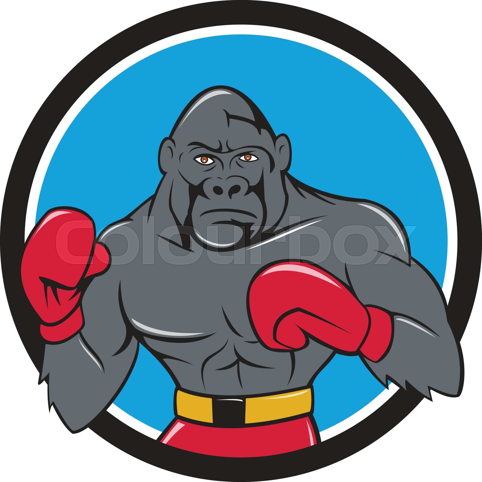 Gorilla Boxer Boxing Stance Circle Cartoon | Stock vector | Colourbox