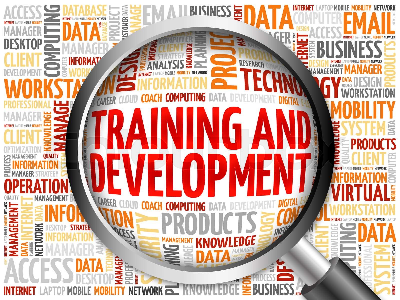 Training and Development word cloud | Stock image | Colourbox