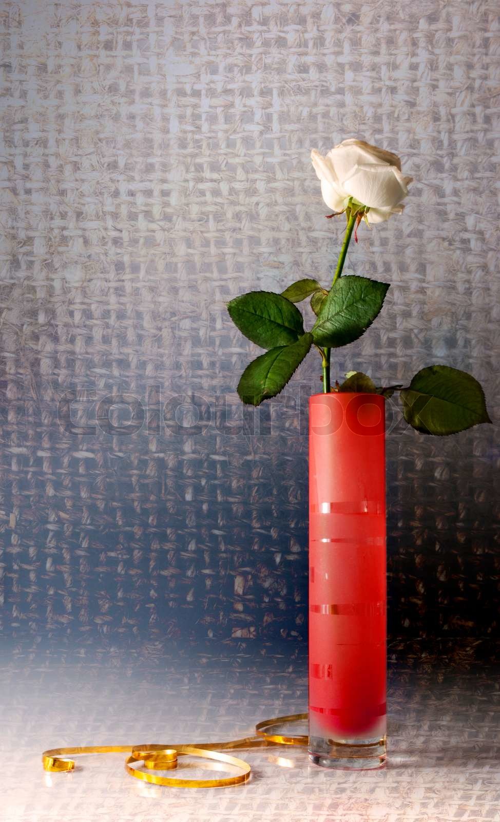 Stilleben mit einer weißen Rose in roter Vase und goldenen Schleife ...