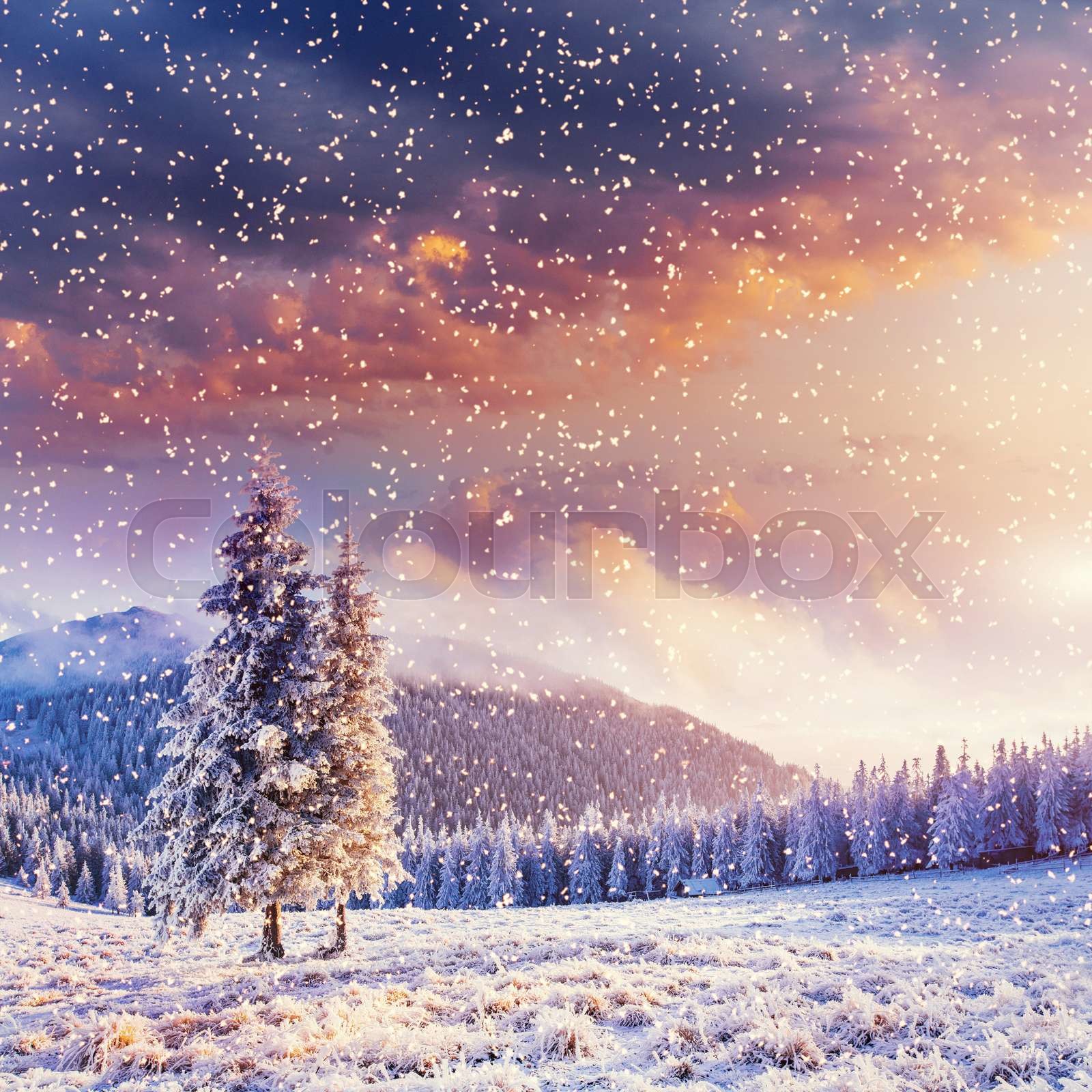 Winter Landscape Backgrounds