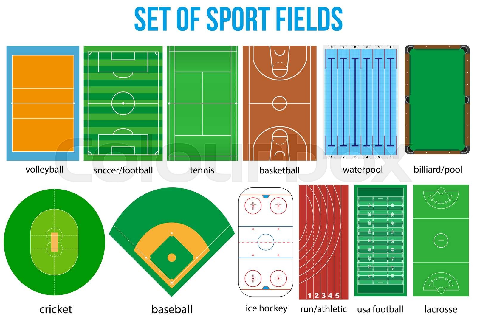 Set of most popular sample sport fields. | Stock vector | Colourbox