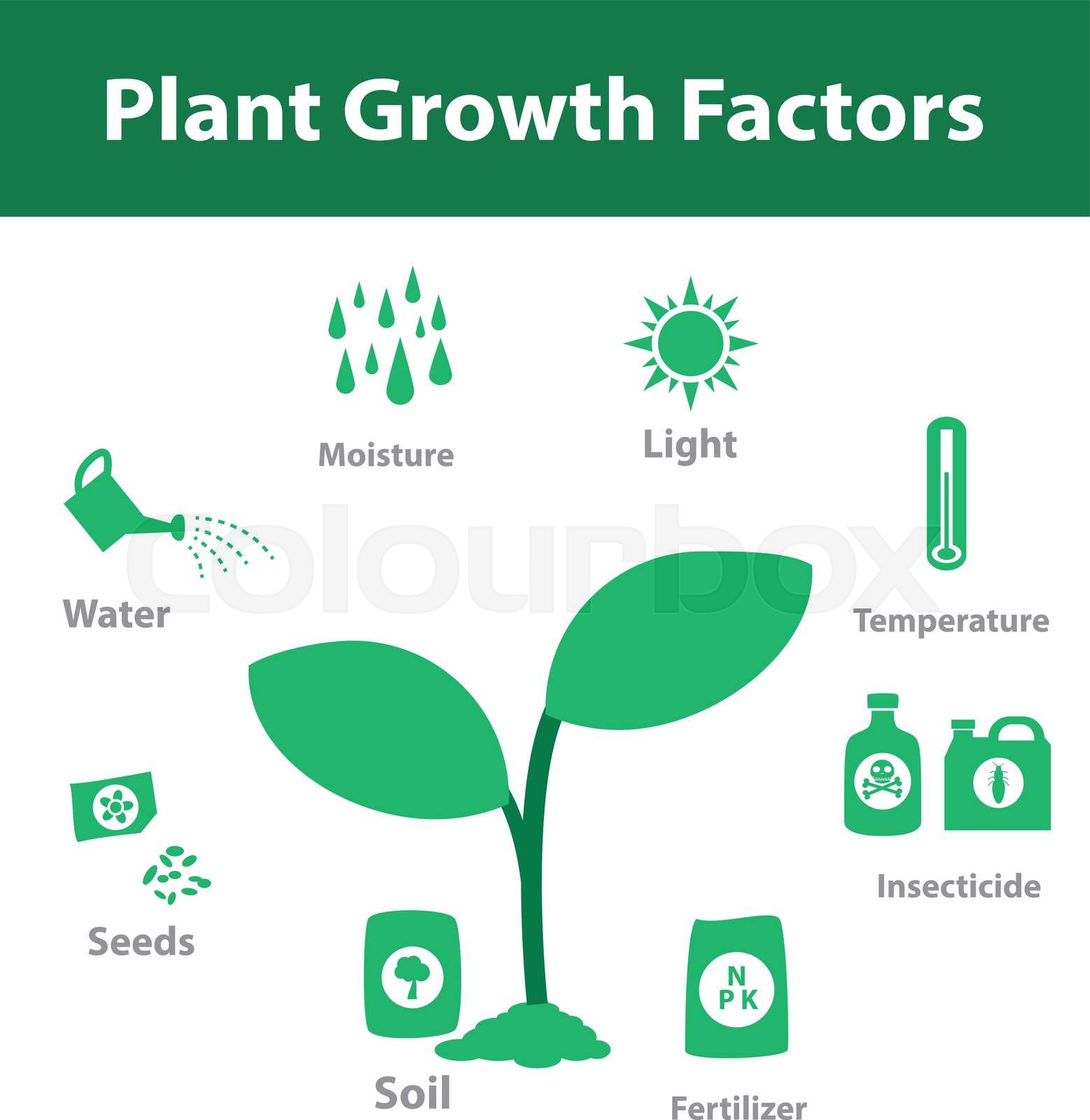 Plant growth factor infographic in monochrome | Stock vector | Colourbox