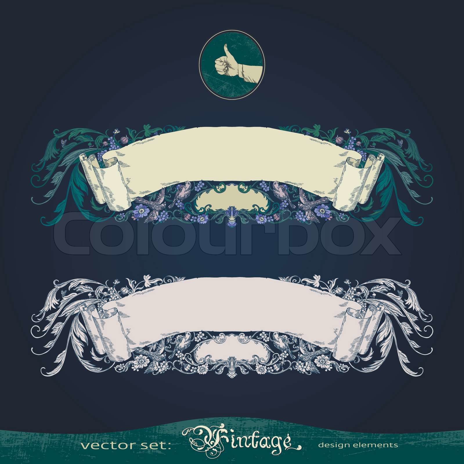 Two variants of hand-drawn, old, flourish, ornate banner for decoration ...