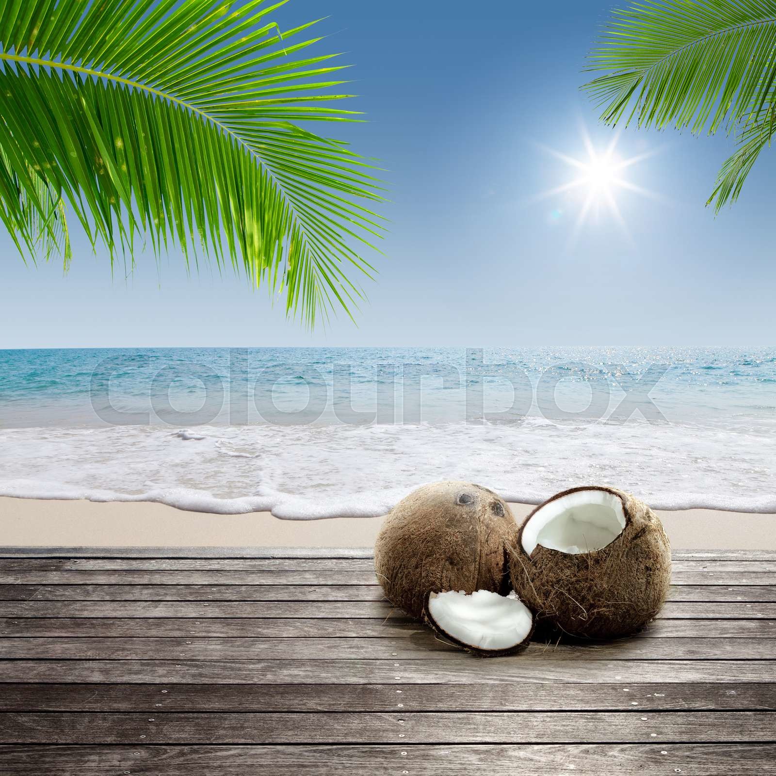 coconut | Stock image | Colourbox