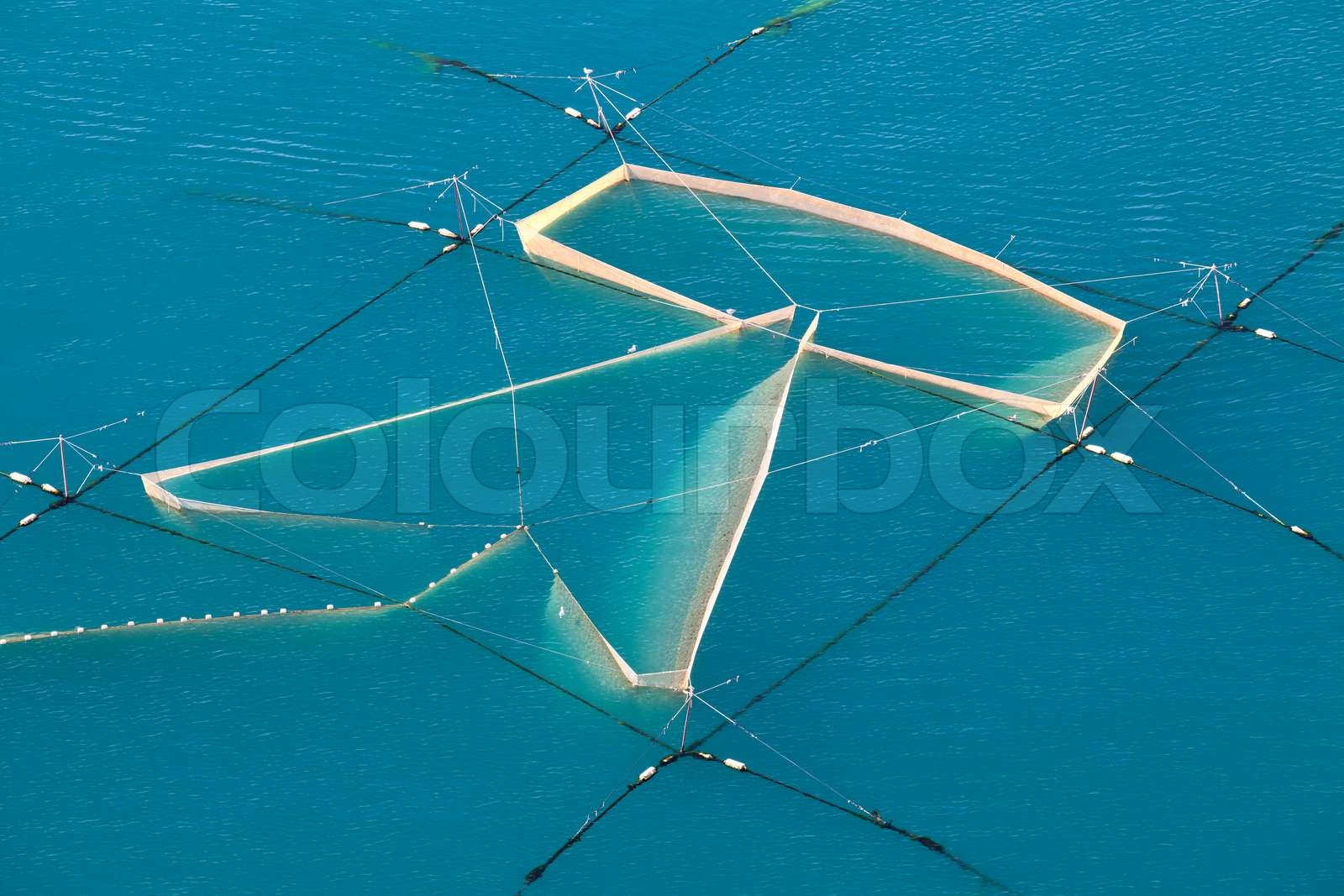 fishing nets in a sea | Stock image | Colourbox