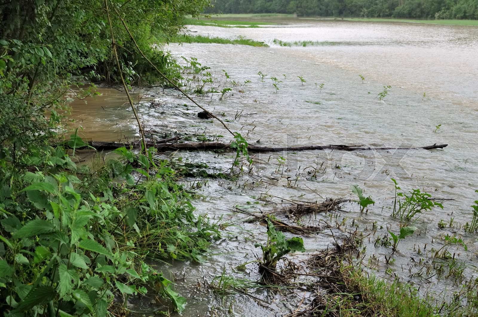 overflow of a river | Stock image | Colourbox