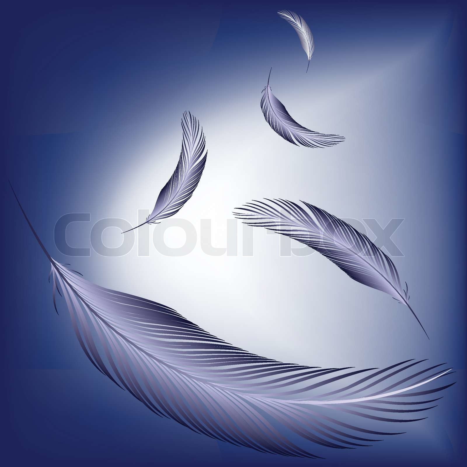 feathers in the wind | Stock vector | Colourbox