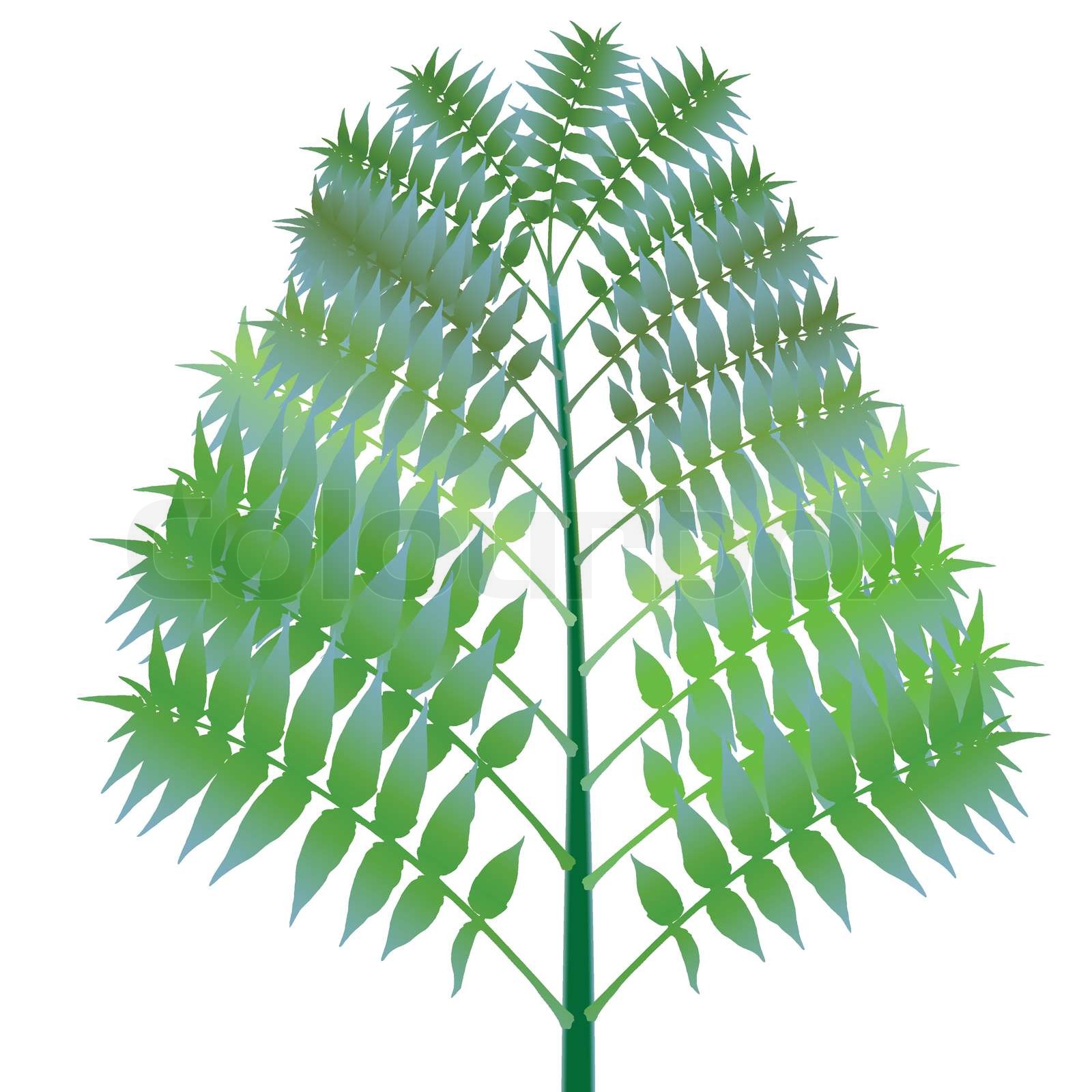 grünen Busch vor weißem Hintergrund, abstrakte Vektorillustrationen ...