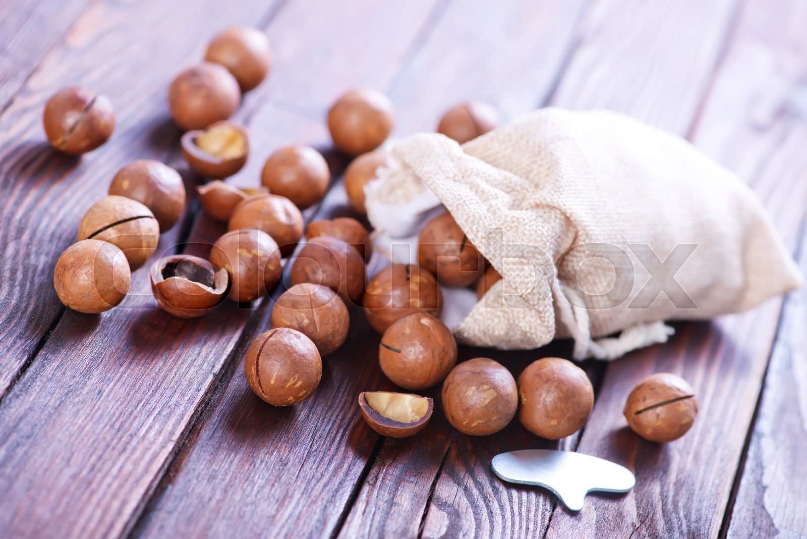 macadamia | Stock image | Colourbox