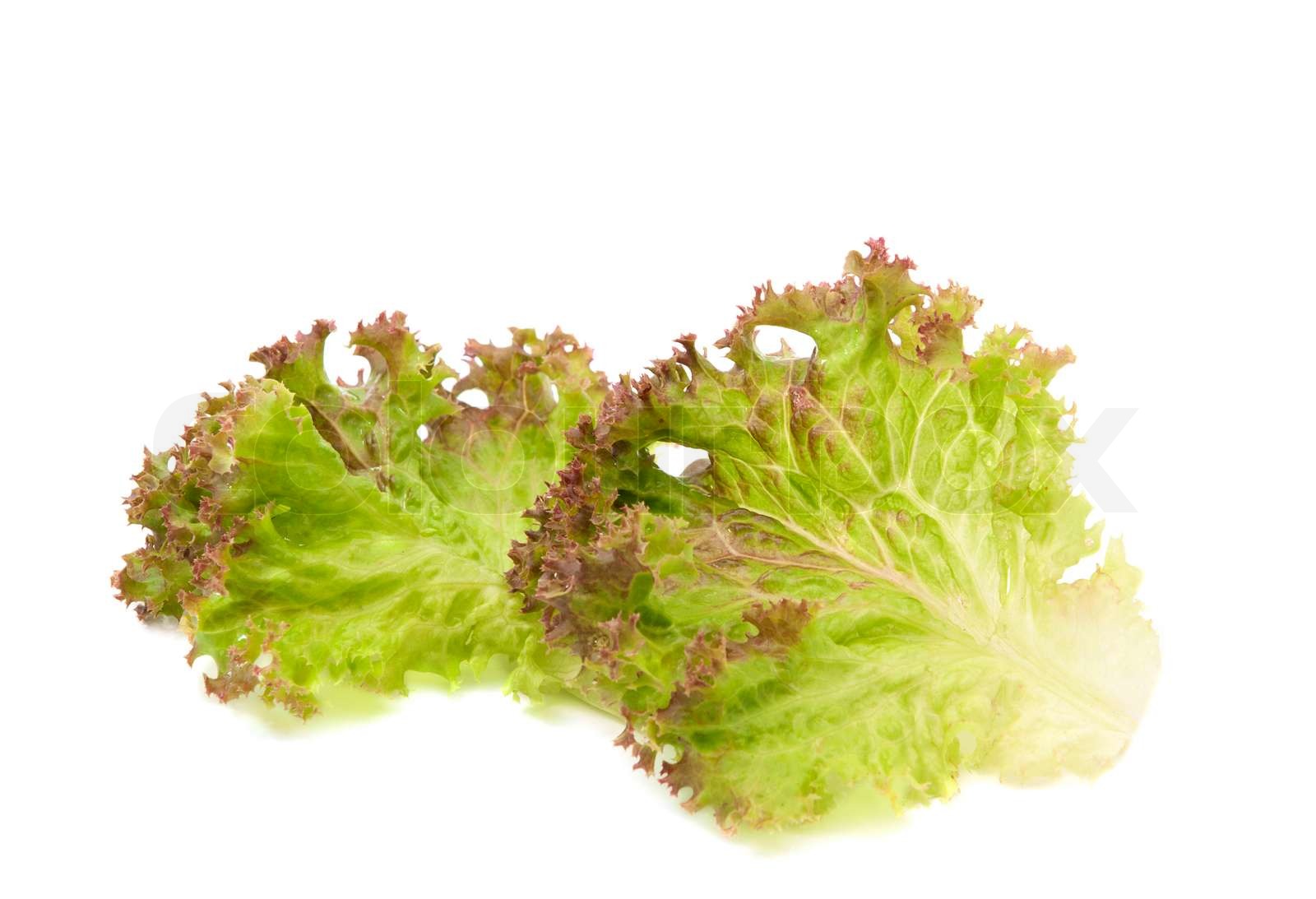 Salatblätter auf einem weißen Hintergrund | Stock Bild | Colourbox